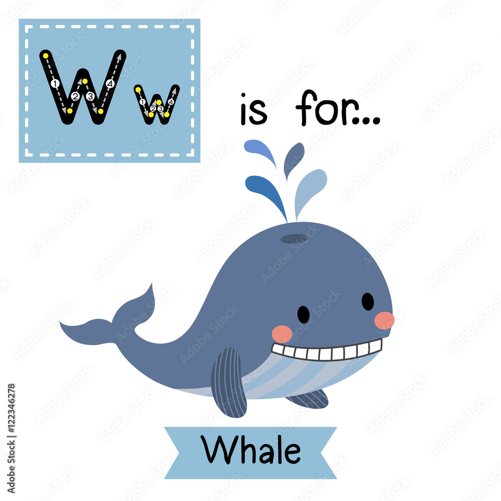 Vecteur Stock W letter tracing. Blue Whale with water splash. Cute children zoo alphabet flash ...