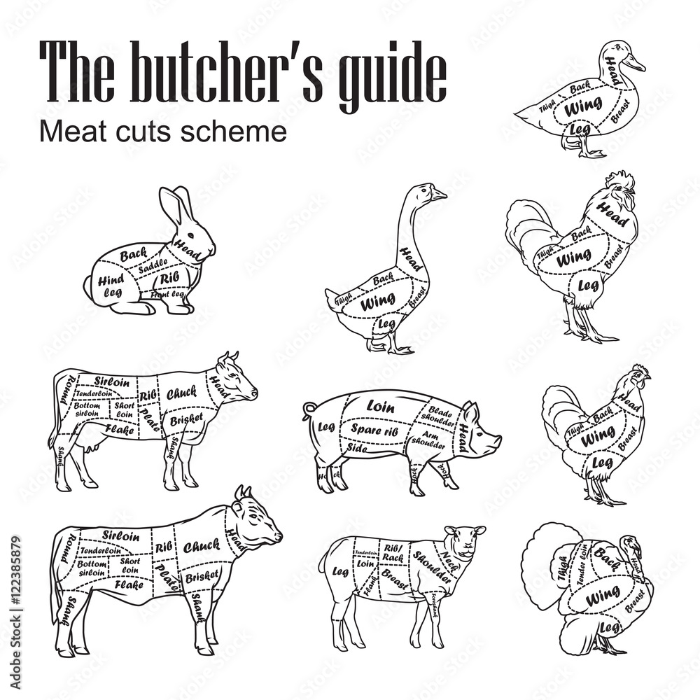 Meat symbols vector. Set of butcher cut schemes vintage. Illustration ...