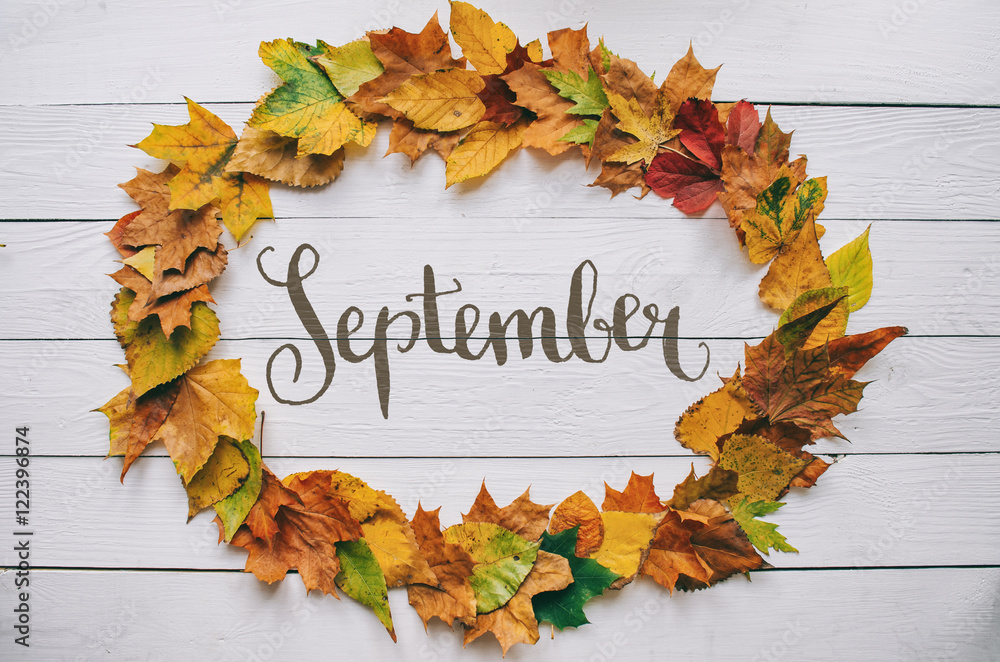 September handwritten modern calligraphy on colorful autumn dry leaves ...