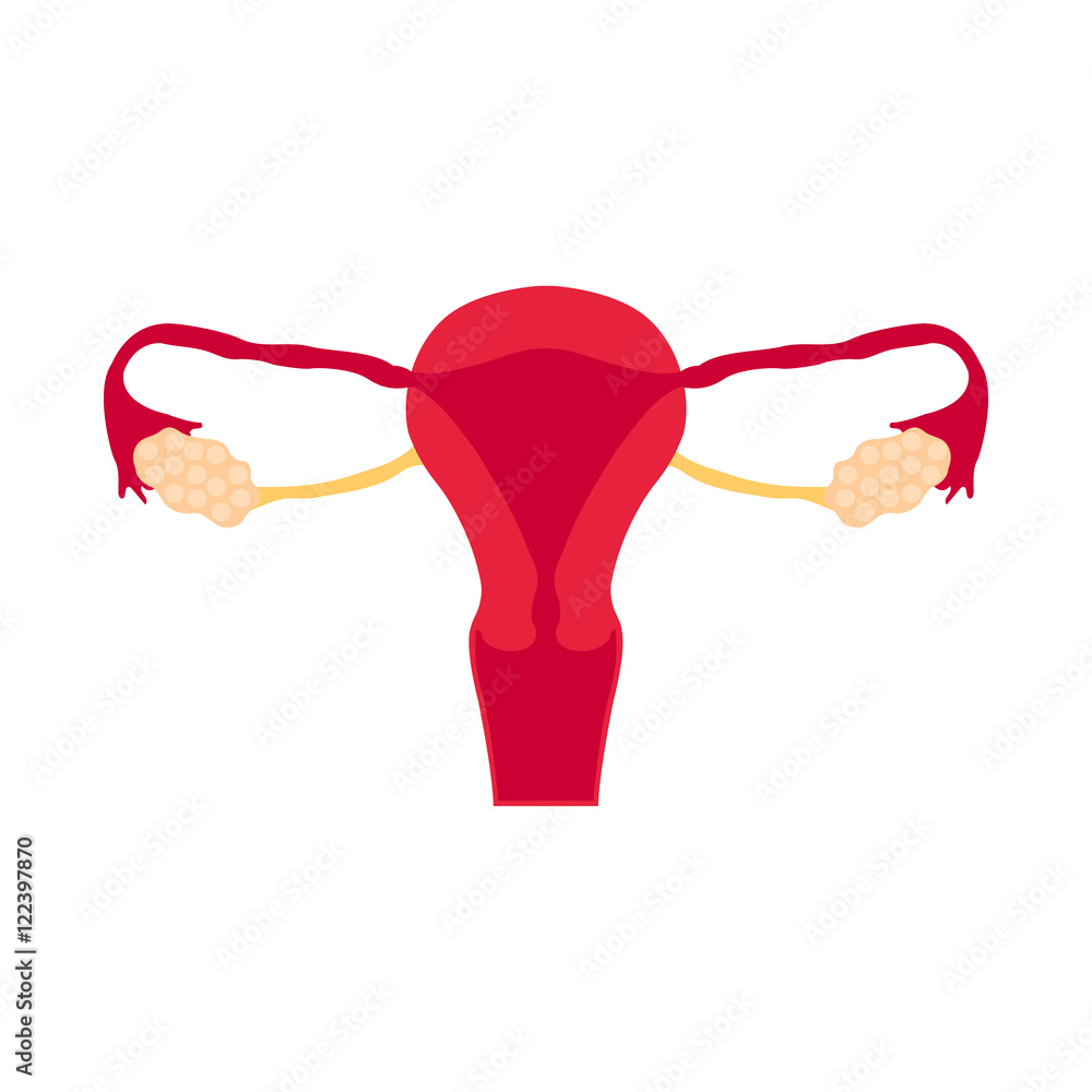 female reproductive system, circuit sketch hand-drawn illustration in ...