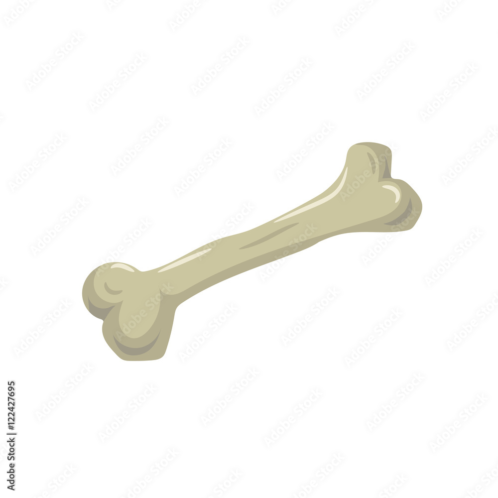 cartoon style single bone isolated on white background. Halloween and ...