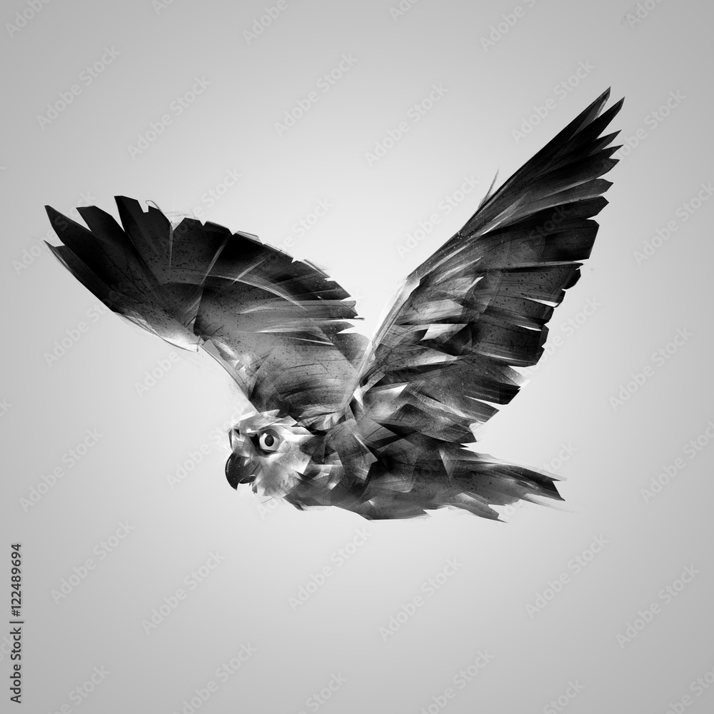 black and white realistic illustration of a flying owl Stock ...