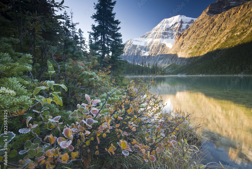 Mount Edith Cavell and Cavell Lake, Jasper National Park, Canada Stock ...