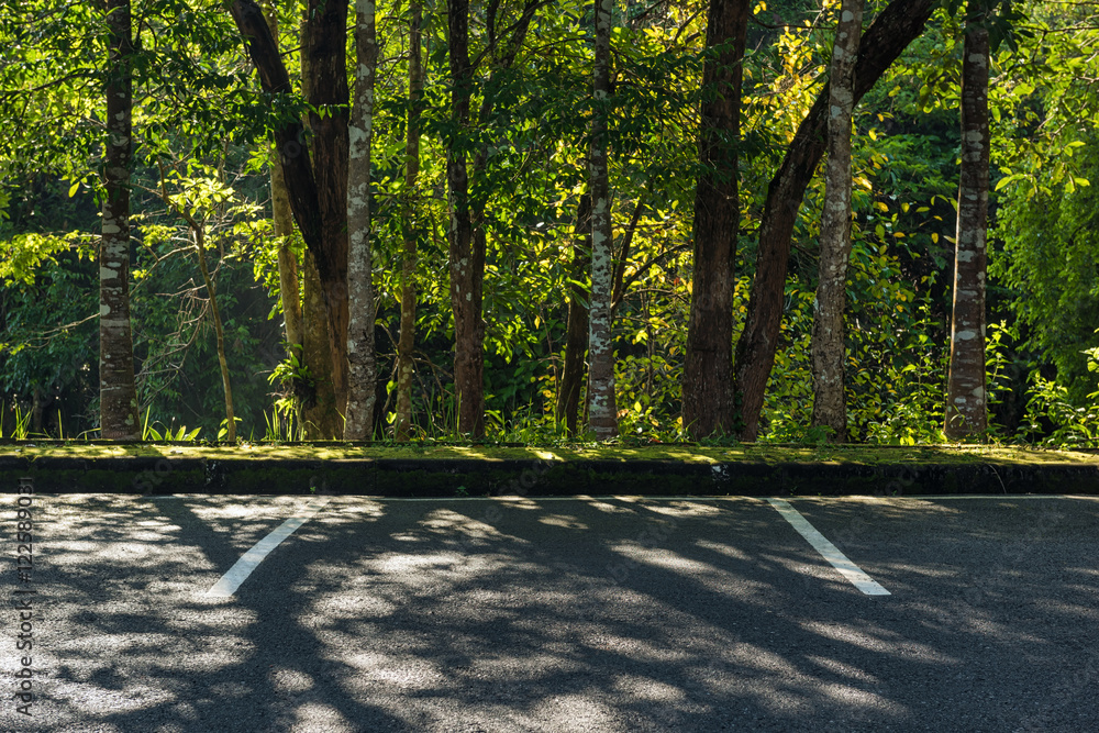 Empty parking lot against trees in forest with lighting at morning ...