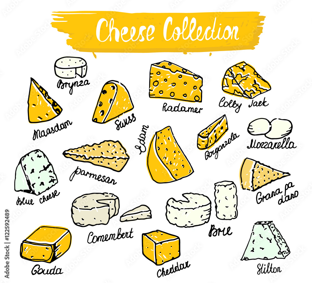 Cheese collection. Vector illustration of cheese types in hand drawn ...