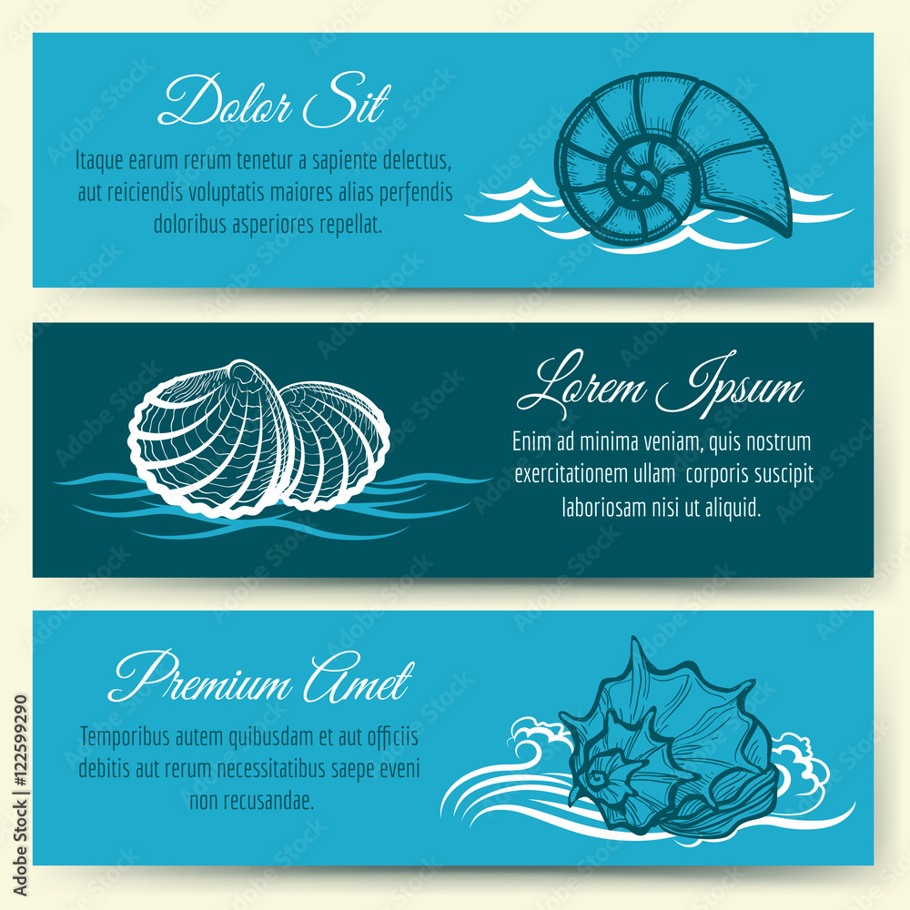 Seashell frame banners. Vector ocean beach and sea shell travel card ...
