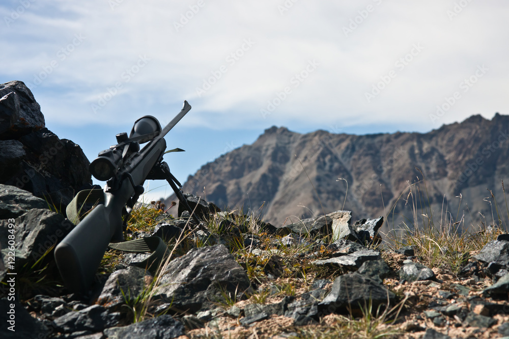 Hunting rifle with a telescopic sight, a bipod while hunting Stock ...