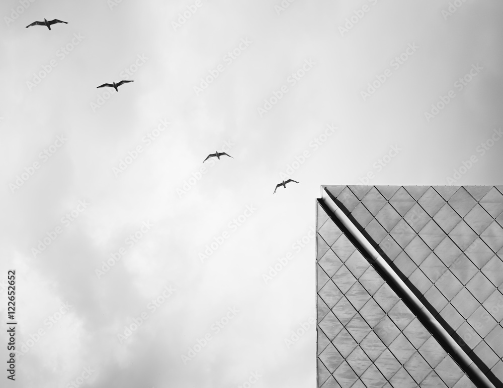 Escape Stock Photo | Adobe Stock