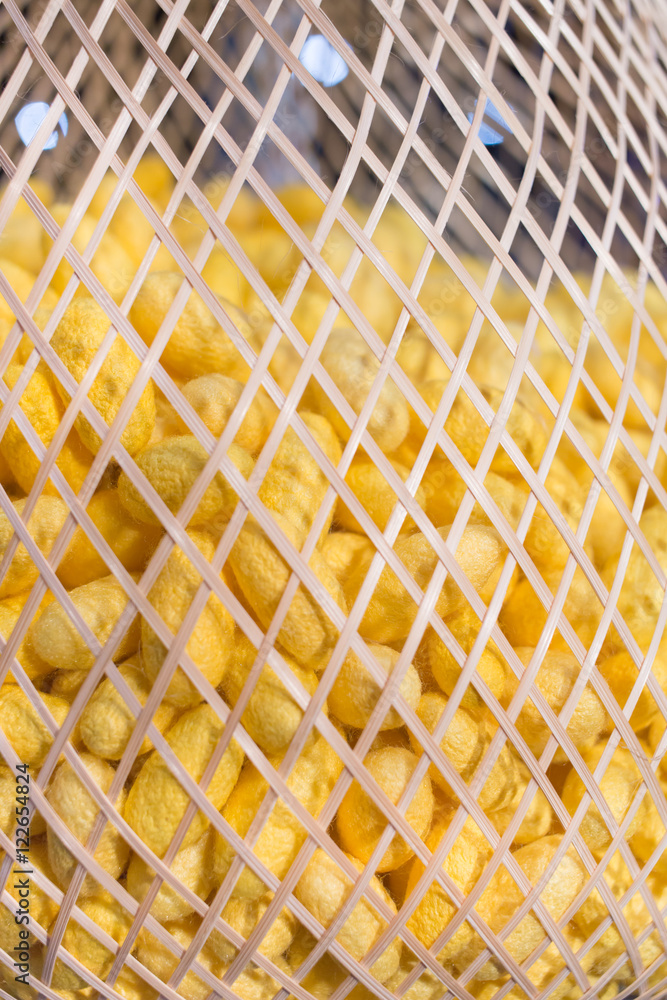 Thai Silkworm Cocoon yellow color in the basket Stock Photo | Adobe Stock