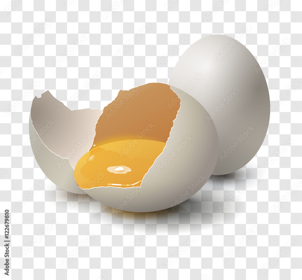 Realistic Egg on transparent background. Egg as food. Design template ...