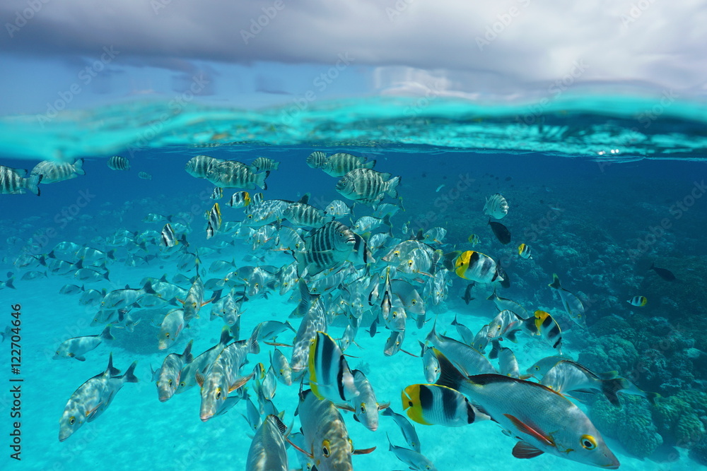 Ocean Surface From Below