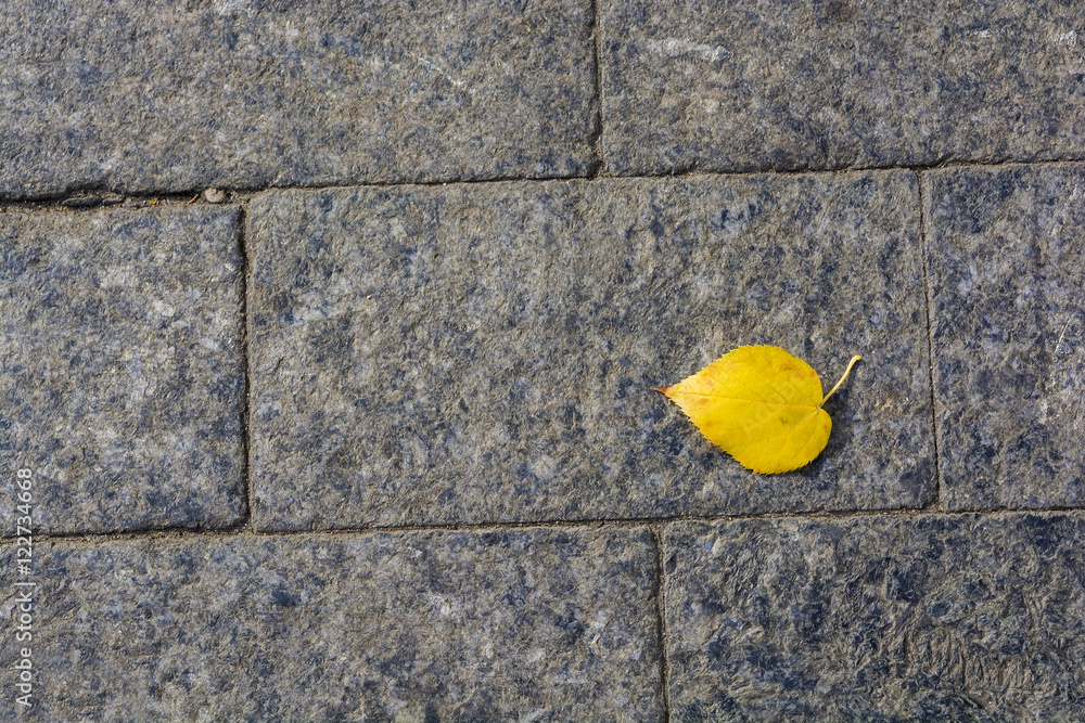 leaf fall. yellow leaf. autumn. paving stone background. relief texture ...