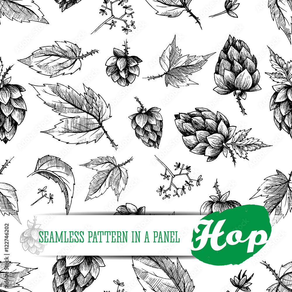 Beer hops seamless pattern of hand drawn hops cones and hops leaves ...