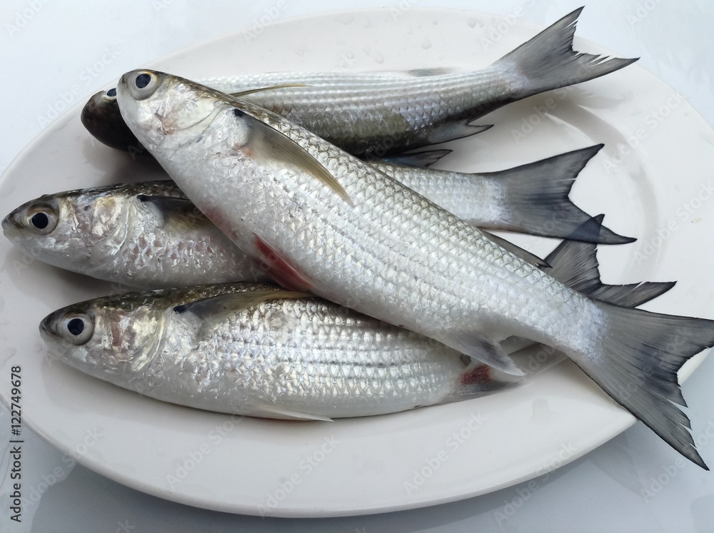 Fresh mullet fish prepared on white plate for cooking,healthy eating ...