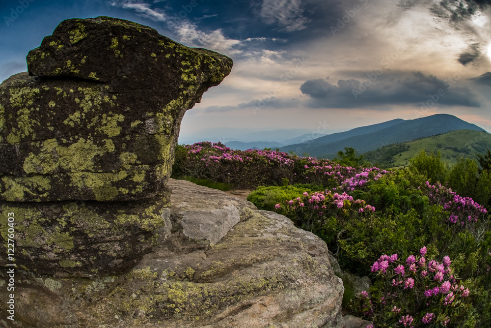 Rocky Lookout on Jane Bald with Rhododendron Stock Photo | Adobe Stock