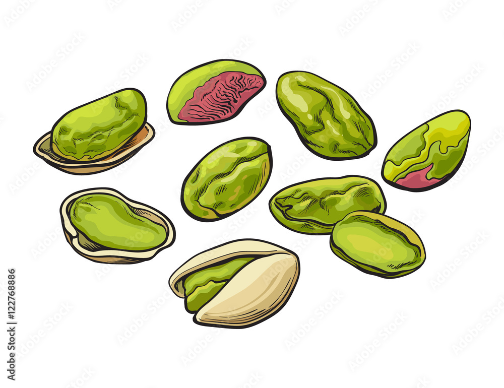 Whole and peeled pistachio nuts, vector illustration isolated on white ...
