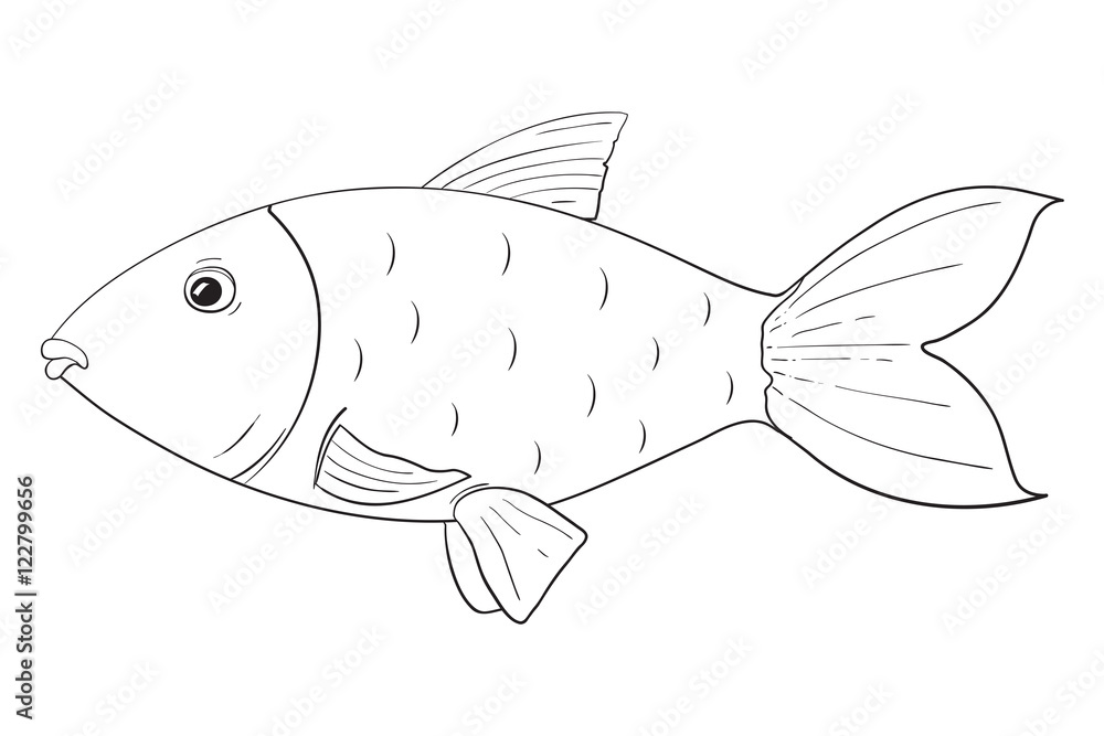 Fish. Hand drawn outline sketch Stock Vector | Adobe Stock