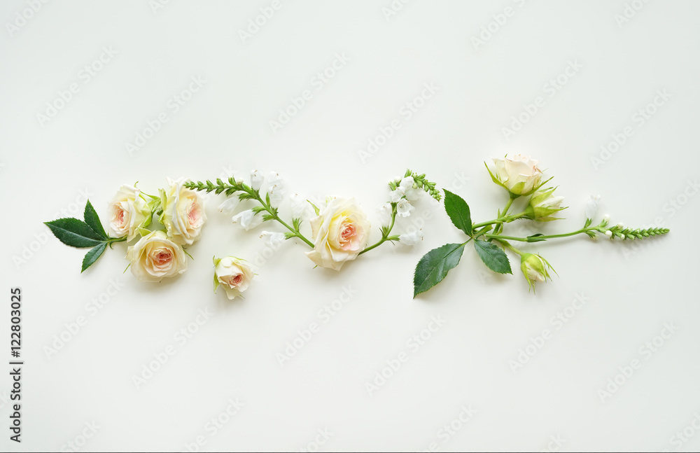 Assorted roses heads on white background. Flowers and leaves scattered ...