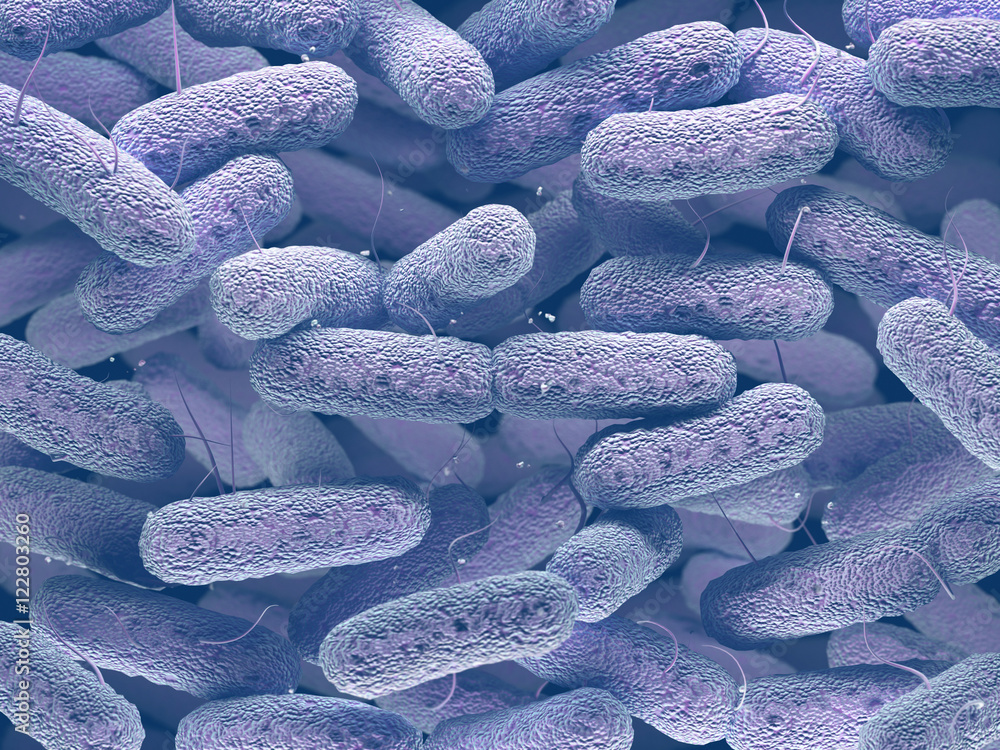 Enterobacteriaceae: large family of Gram-negative bacteria that ...