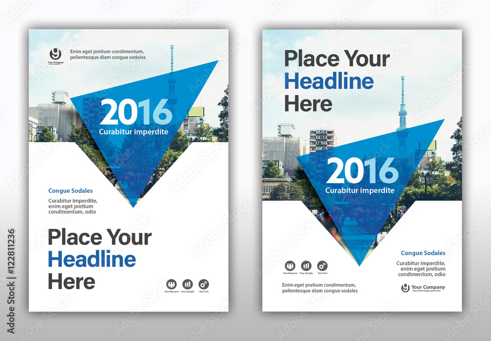 Book Cover Layout Set 27 Stock Template | Adobe Stock