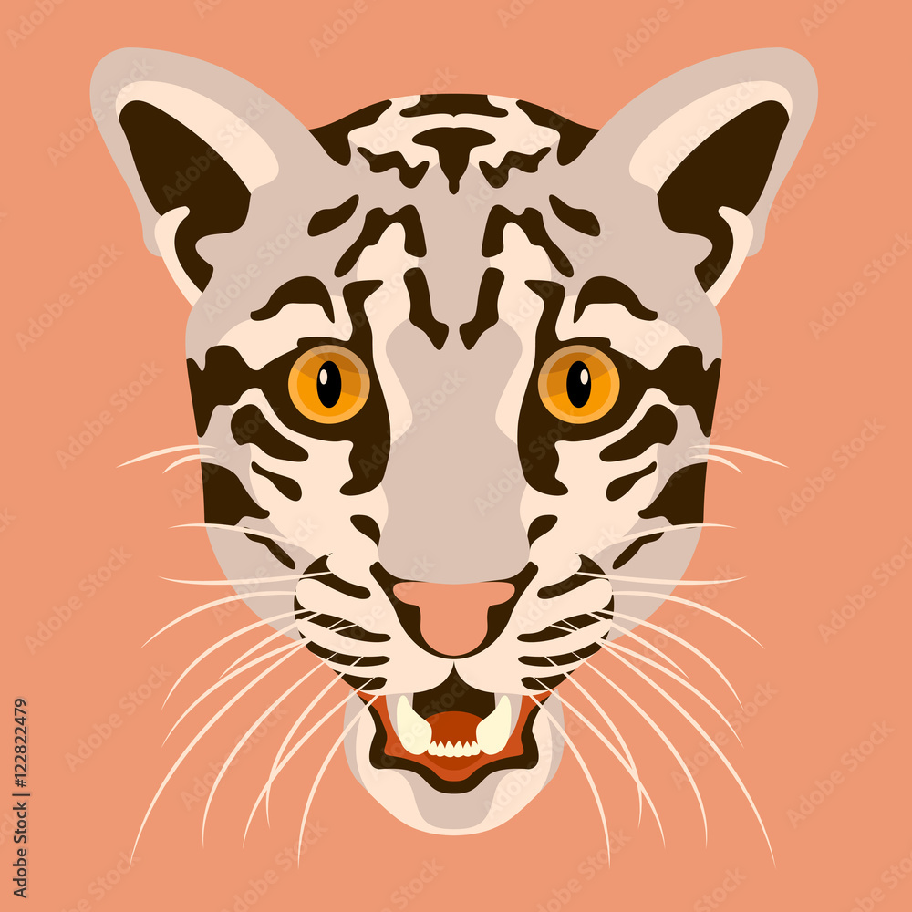 clouded leopard vector illustration head face Stock Vector | Adobe Stock