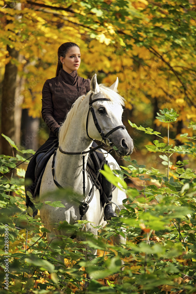 Equestrian model with her horse in autumn nature Stock Photo | Adobe Stock