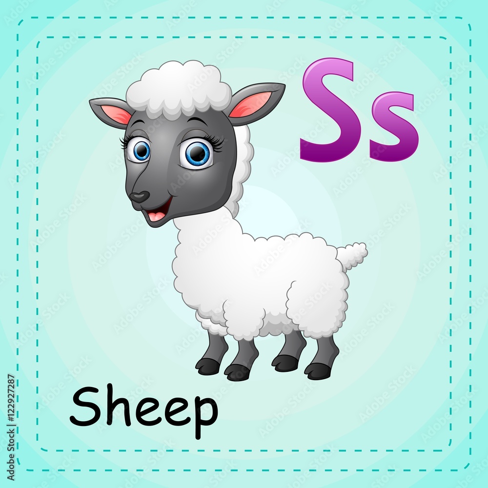 Animals alphabet: S is for Sheep Stock Vector | Adobe Stock