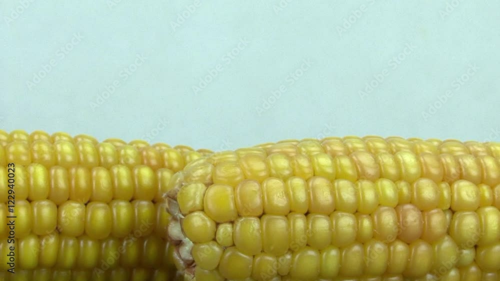 Three corn cobs behind. White background. Slider shot. Stock Video ...