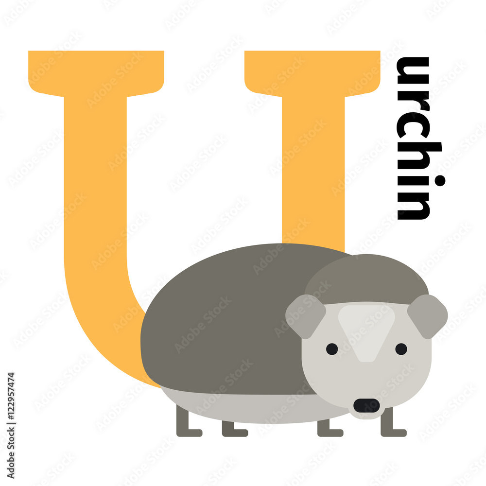English animals zoo alphabet with letter U. Urchin vector illustration ...
