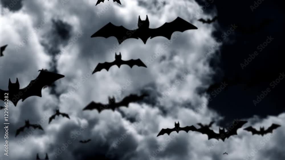 Flock of bats flying in mystical sky. Loop animation. Stock Video ...