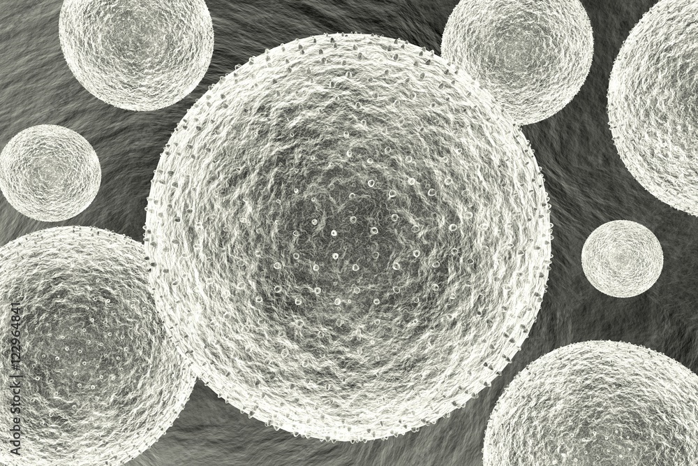 Chlamydia Trachomatis Microscopy