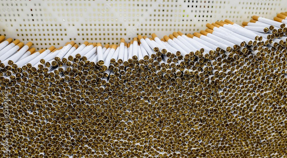 Cigarettes production and packing Stock-Foto | Adobe Stock