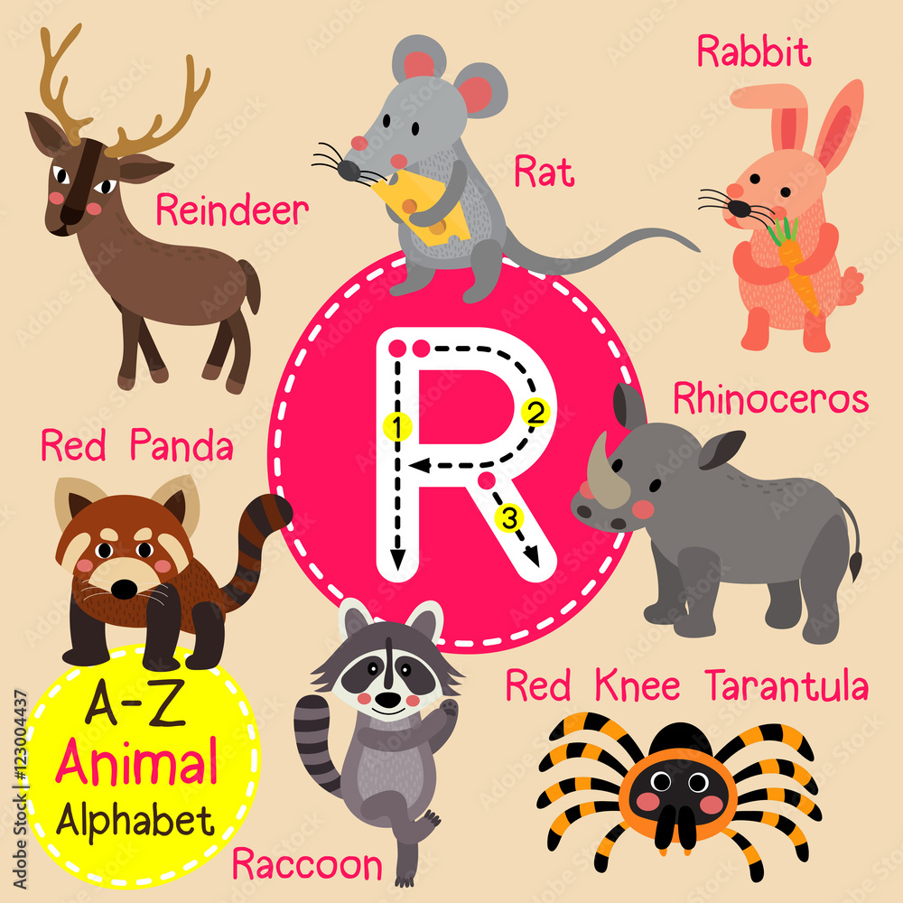 R letter tracing. Rabbit. Raccoon. Rat. Reindeer. Rhinoceros. Cute ...