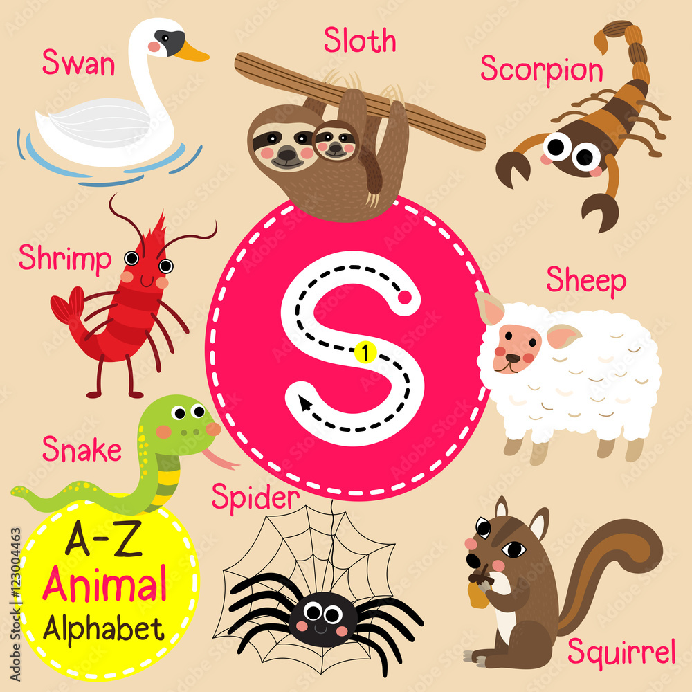 S letter tracing. Scorpion. Sheep. Sloth. Snake. Spider. Swan. Cute ...