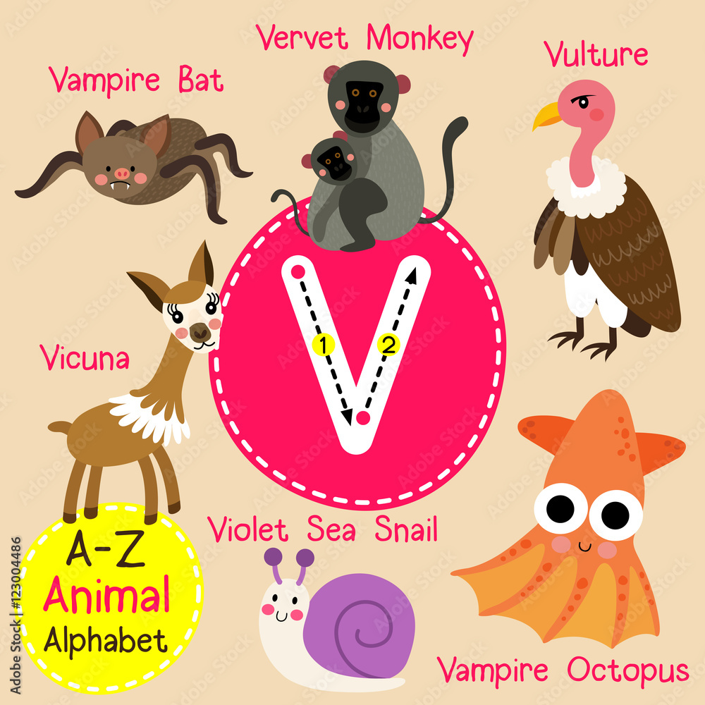 V letter tracing. Vulture. Vampire Octopus. Vicuna. Vervet Monkey. Cute ...