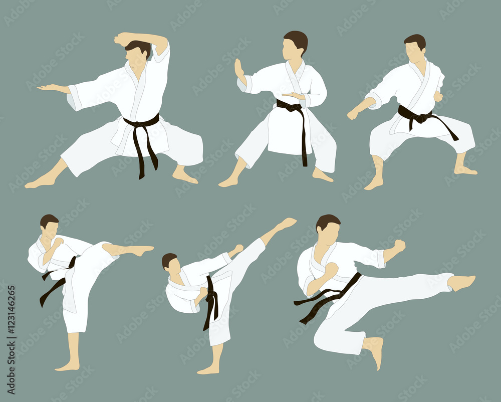 Karate icon set Stock Vector | Adobe Stock
