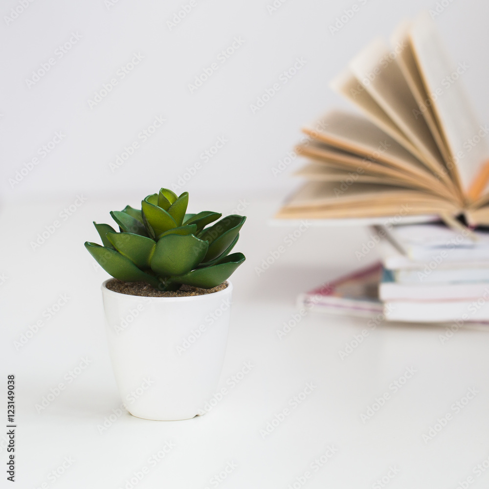 stack of books with artificial of plant on a white background Stock ...