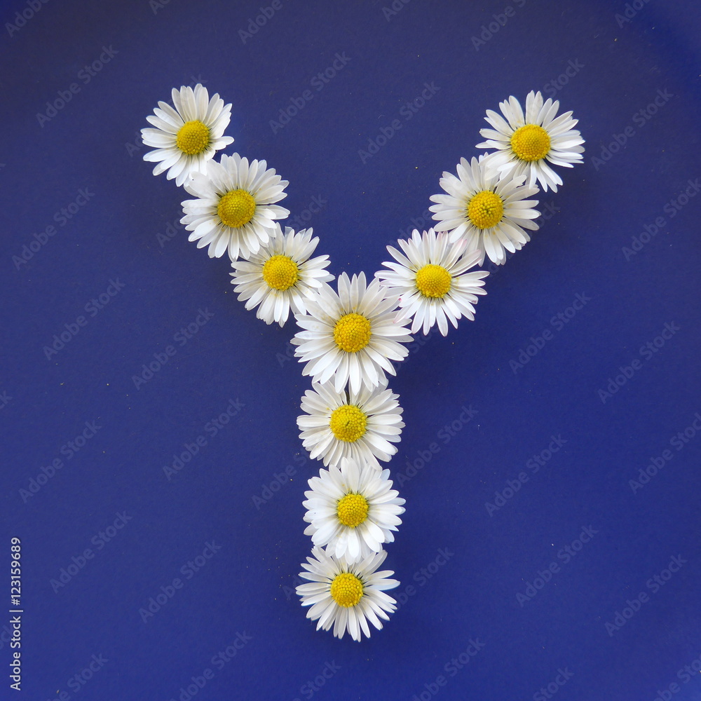 Letter Y, Flower alphabet on blue background Stock Photo | Adobe Stock