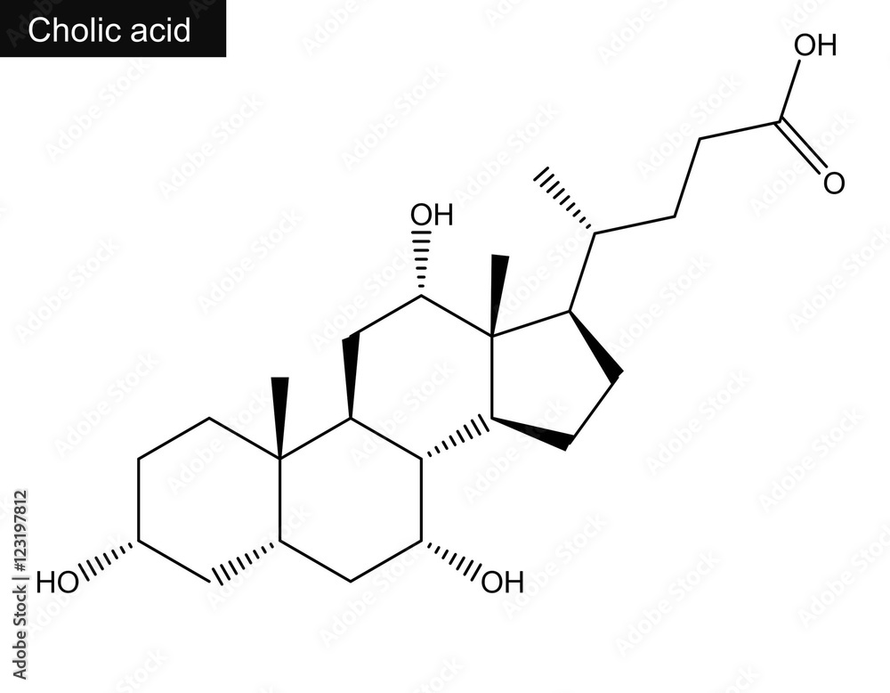Molecular structure of cholic acid Stock Illustration | Adobe Stock