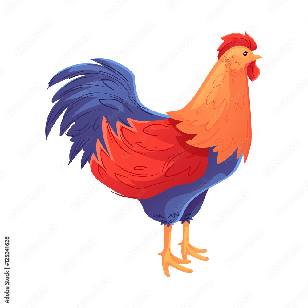 Full Body Of Colorful Rooster Cartoon Vector Illustration Isolated On