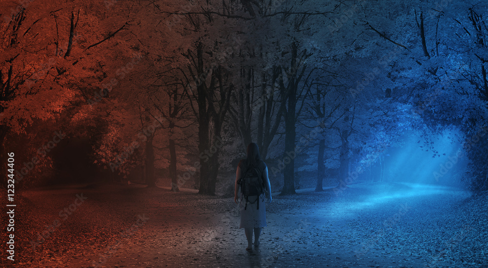 Forest with two pathways Stock Photo | Adobe Stock