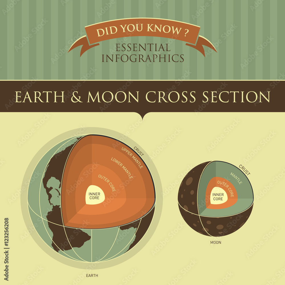 Vector Infographic - Earth and Moon Cross Section Stock Vector | Adobe ...