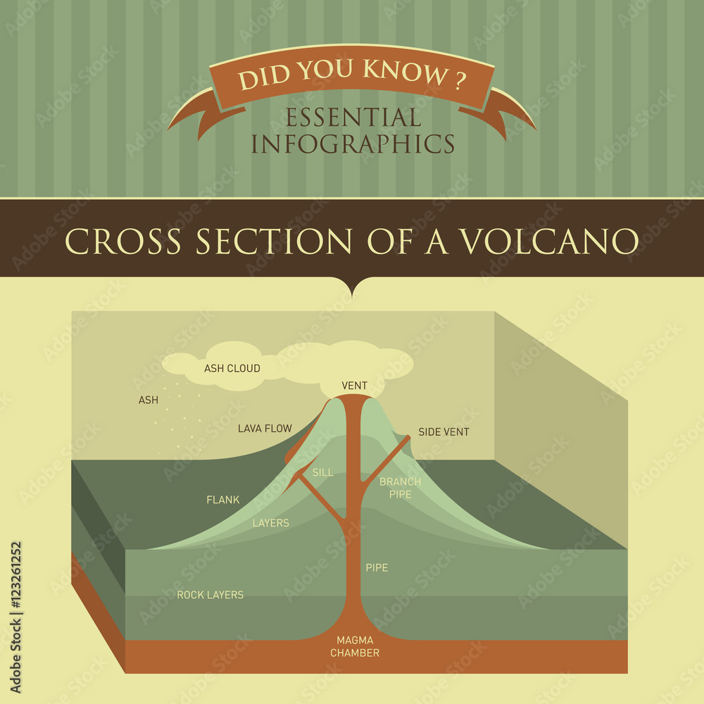 Vector Infographic - Cross Section of Volcano Stock Vector | Adobe Stock