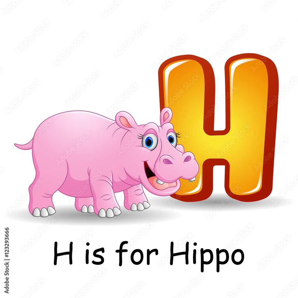 Animals alphabet: H is for Hippo Stock Vector | Adobe Stock