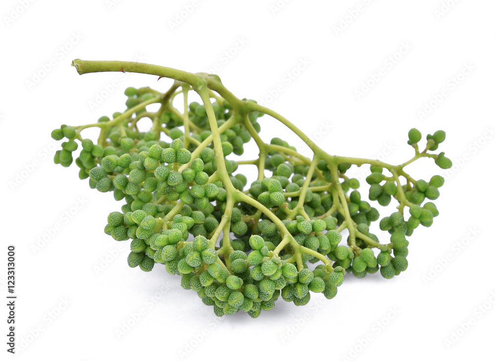 Fresh Zanthozylum limonella Alston isolated on white Stock Photo ...