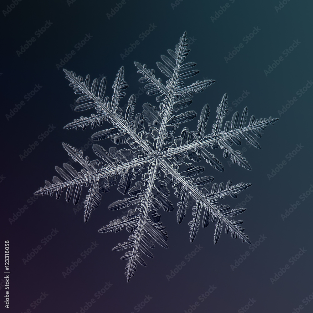 Snowflake on dark gradient background: macro photo of real snow crystal ...