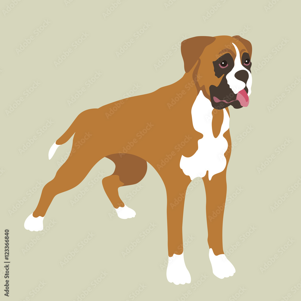 Boxer Dog realistic vector illustration Stock Vector | Adobe Stock