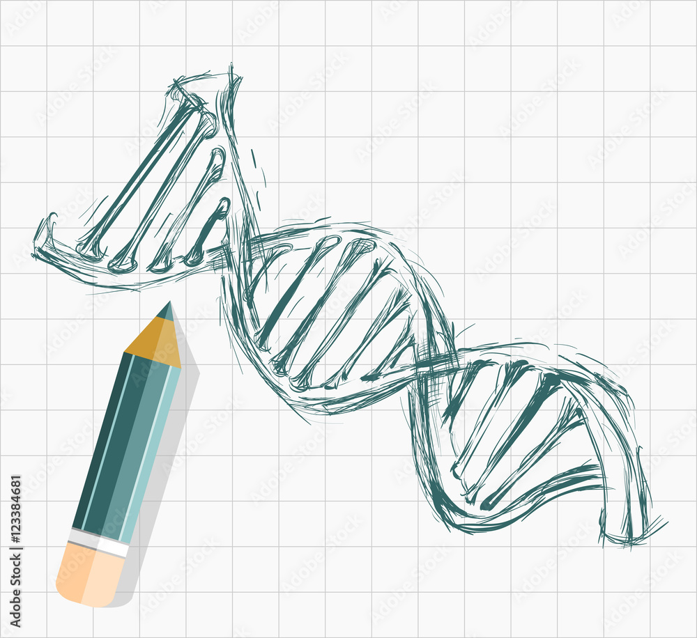 Vector Background - Pencil drawing DNA Stock Vector | Adobe Stock