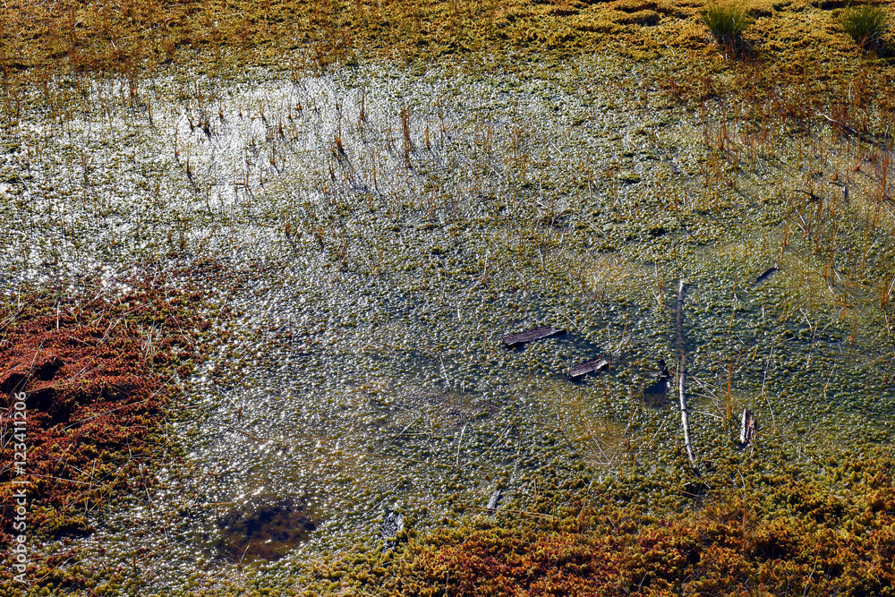 Wet peat ground on a bog. Stock Photo | Adobe Stock