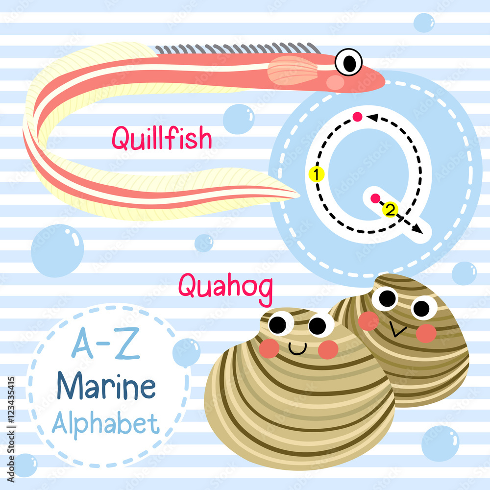 Q letter tracing. Quahog. Quillfish. Cute children sea marine alphabet ...